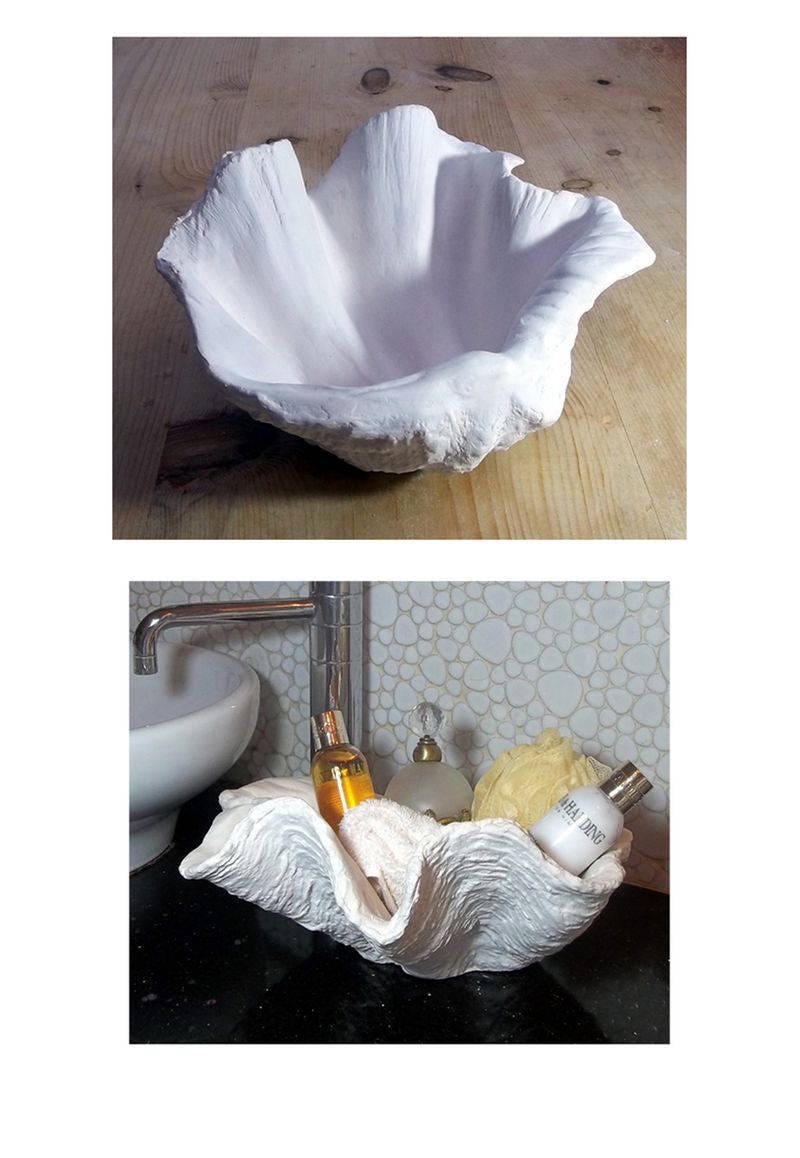 Small White Giant Clam Shell Sculpture Art Ornament Bowl Basin Vessel ...
