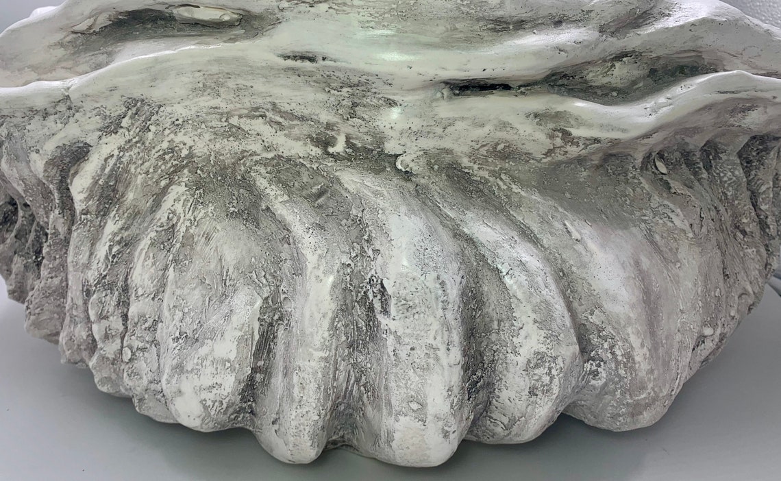 Giant Clam Shell Bathroom Sink Wash Basin Vessel Bowl in Contemporary ...