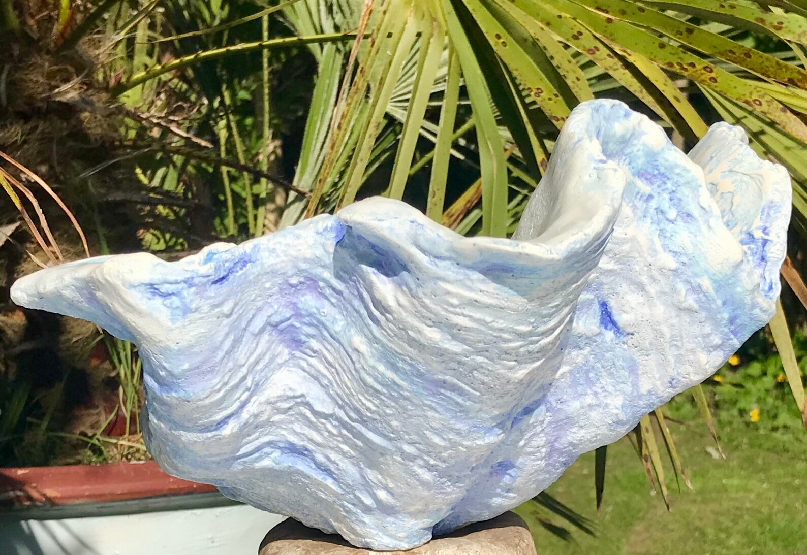 Small Giant Clam Shell Sculpture "courtney" in Loving Memory, Sky Blue ...