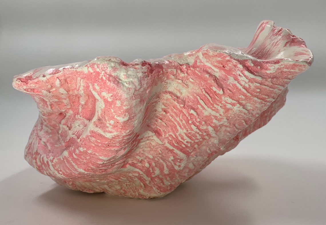 Giant Clam Shell Sculpture Art Ornament Bowl Handmade in Pink - Etsy UK