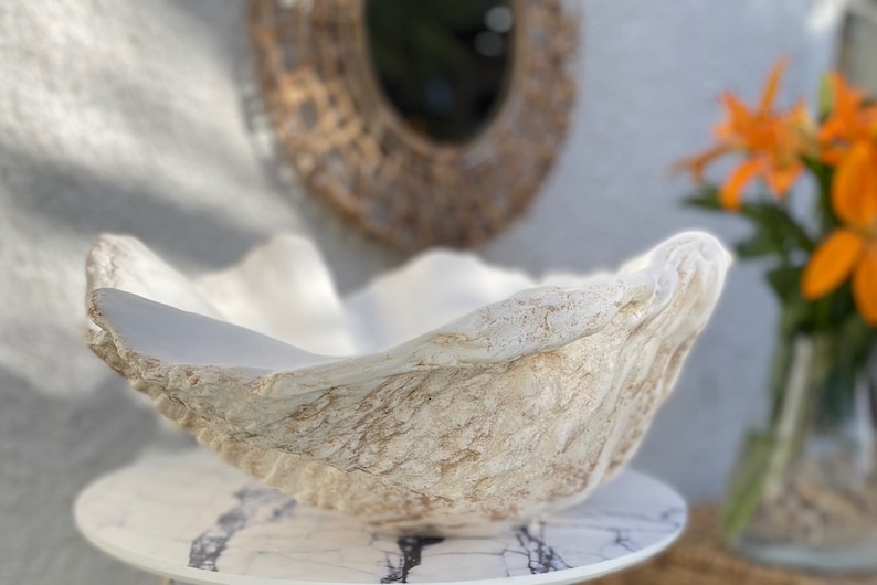 Medium Real Sand Giant Clam Shell Sculptured Art Contemporary ...