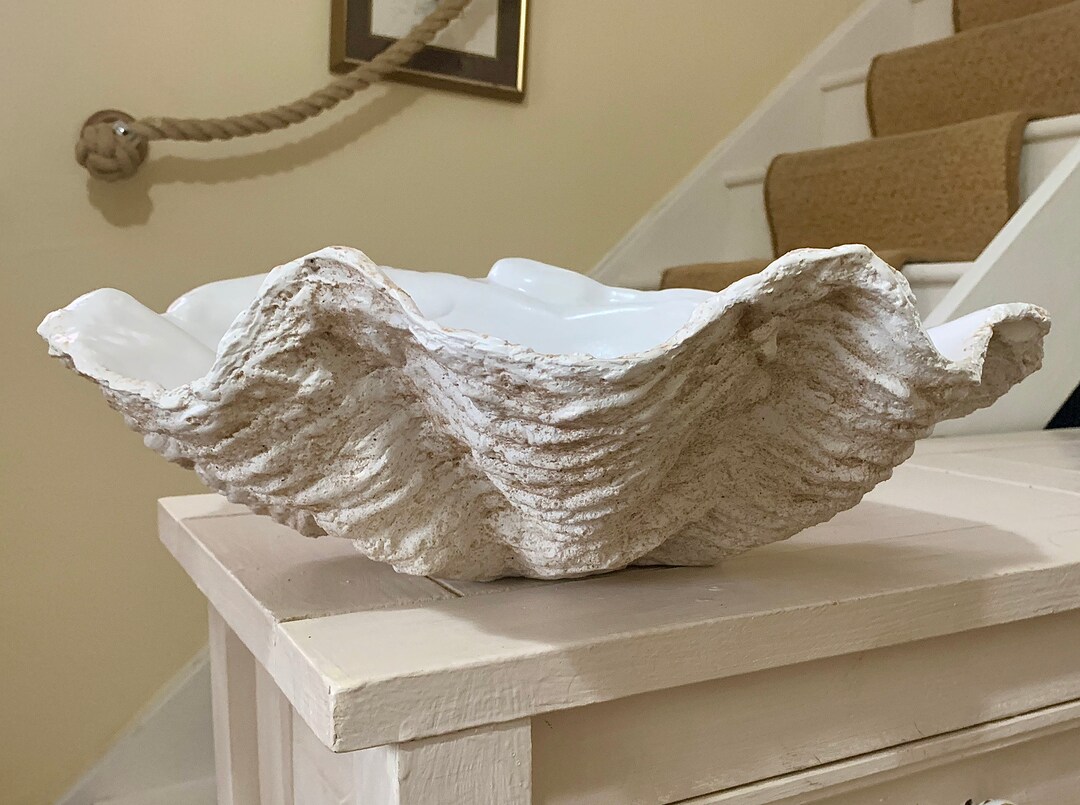 Medium Real Sand Giant Clam Shell Sculptured Art Contemporary ...