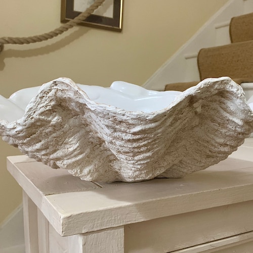 Medium Real Sand Giant Clam Shell Sculptured Art Contemporary - Etsy