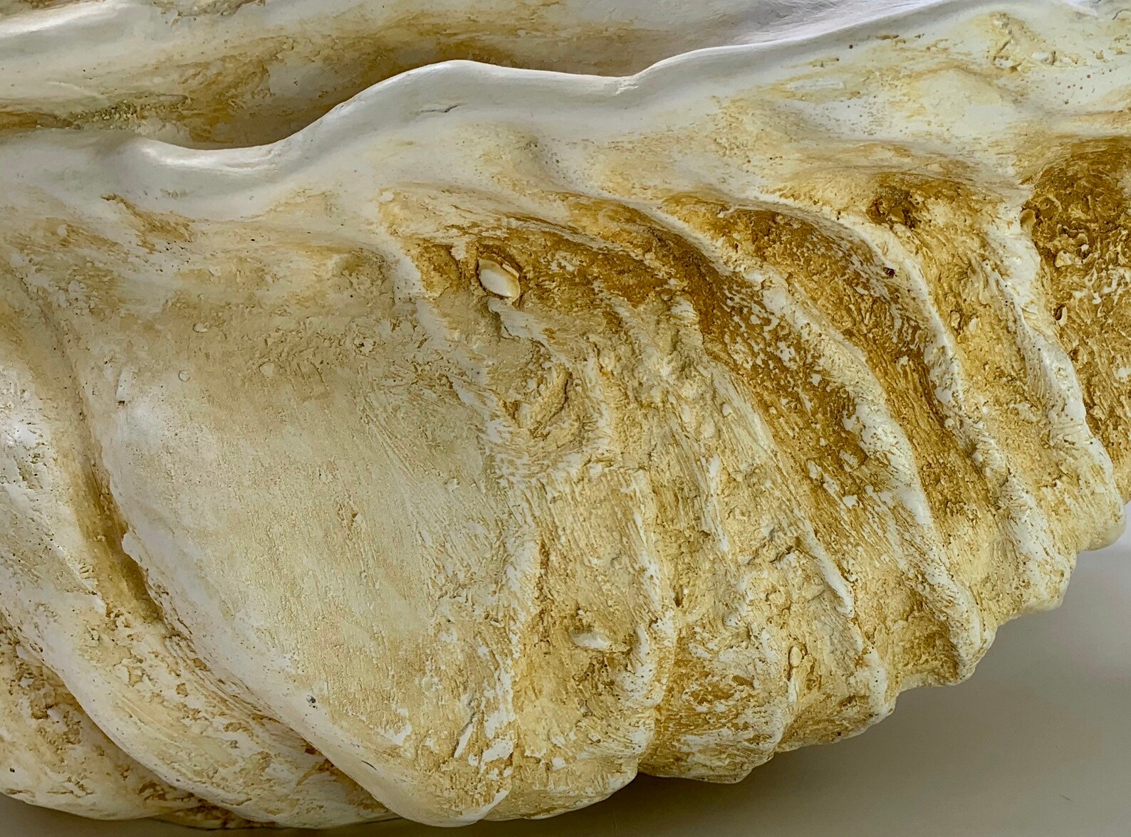Giant Clam Shell Bathroom Sink Wash Basin Vessel Bowl in Caramel ...