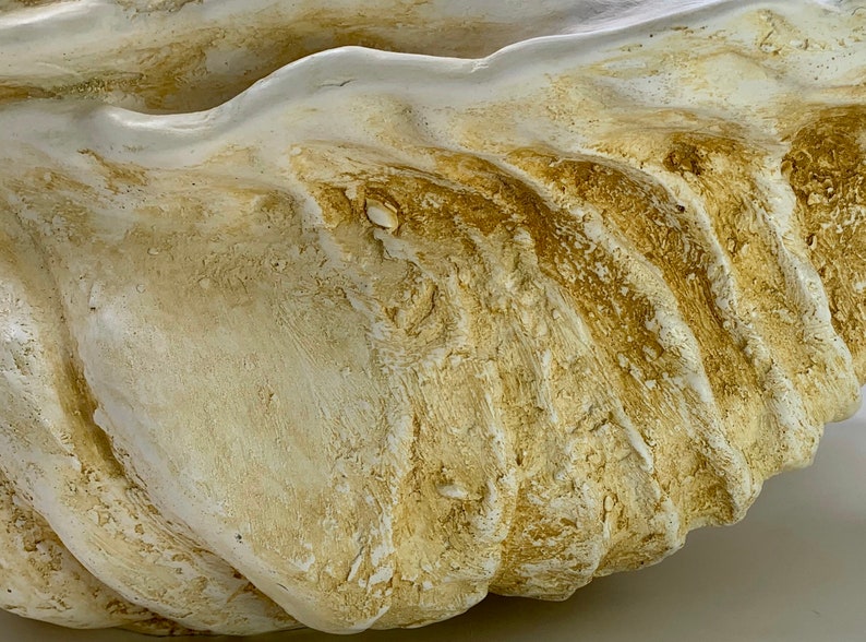 Giant Clam Shell Bathroom Sink Wash Basin Vessel Bowl in Caramel ...