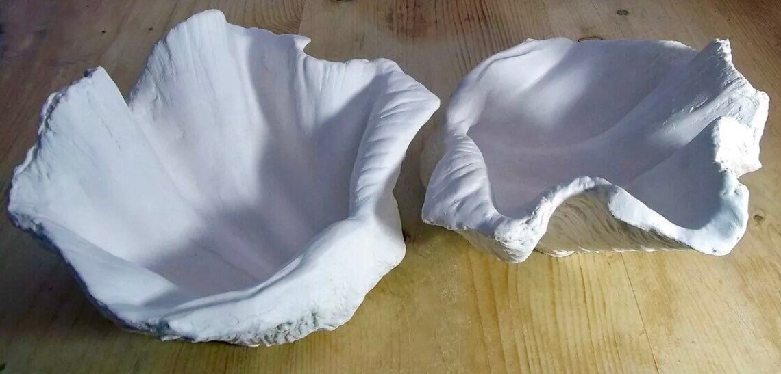 Two Small Giant Clam Shell Sculpture Art Ornament Bowl Vessel Handmade ...