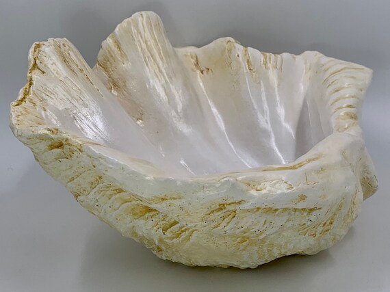 Small Caramel Giant Clam Shell Sculpture Art Ornament Bowl | Etsy