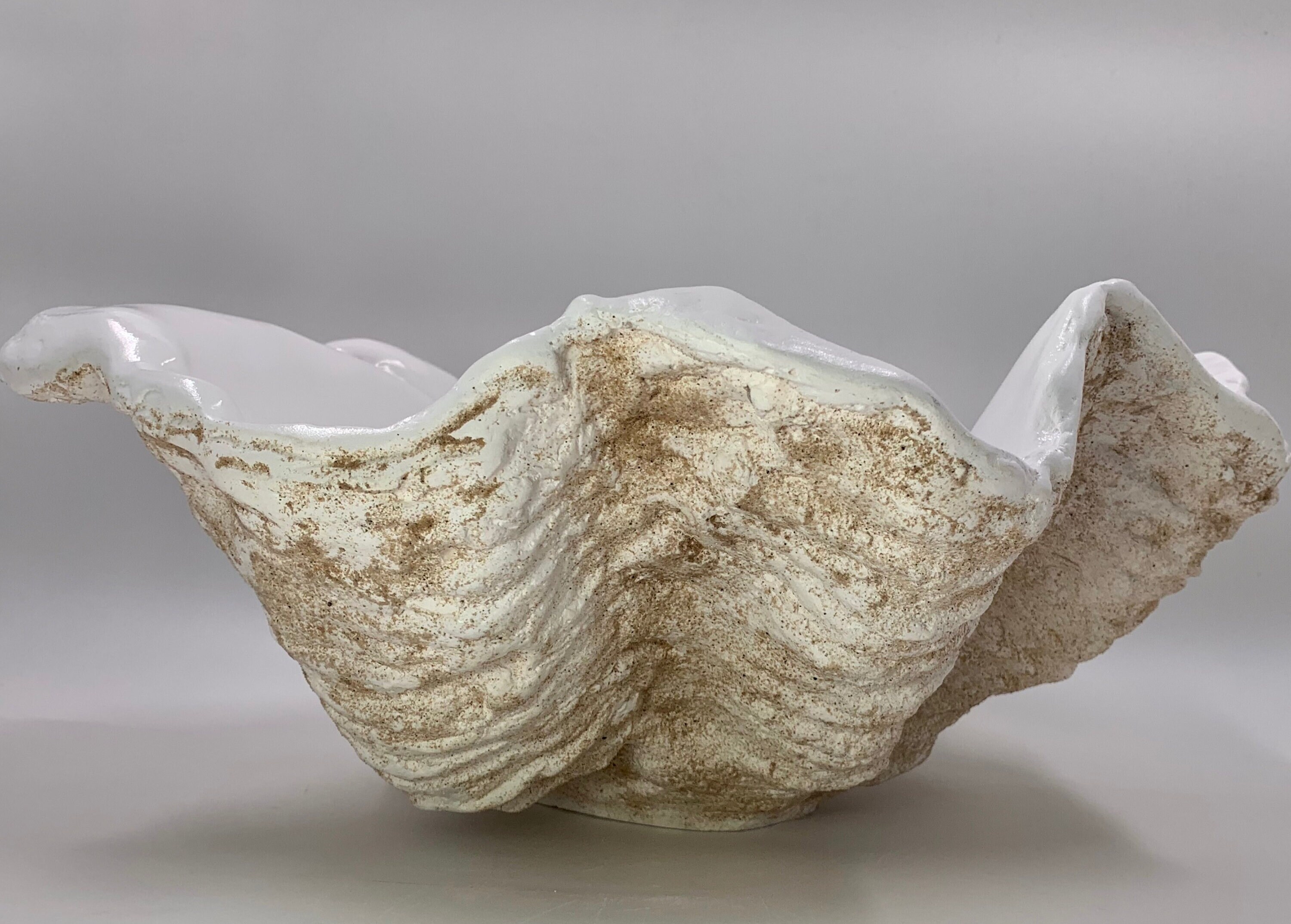 Giant Clam Shell Bathroom Sink Wash Basin Bowl Vessel Counter | Etsy UK