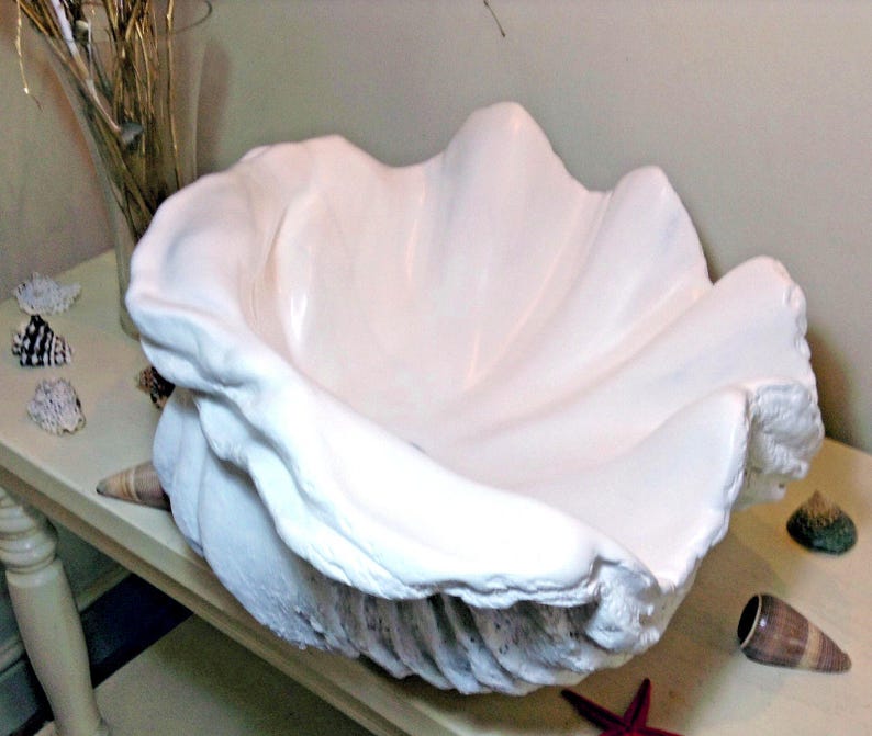 Giant Clam Shell Bathroom Sink Wash Basin Bowl Vessel Counter - Etsy