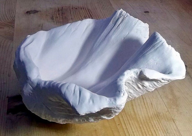 Small White Giant Clam Shell Sculpture Art Ornament Bowl Basin Vessel ...