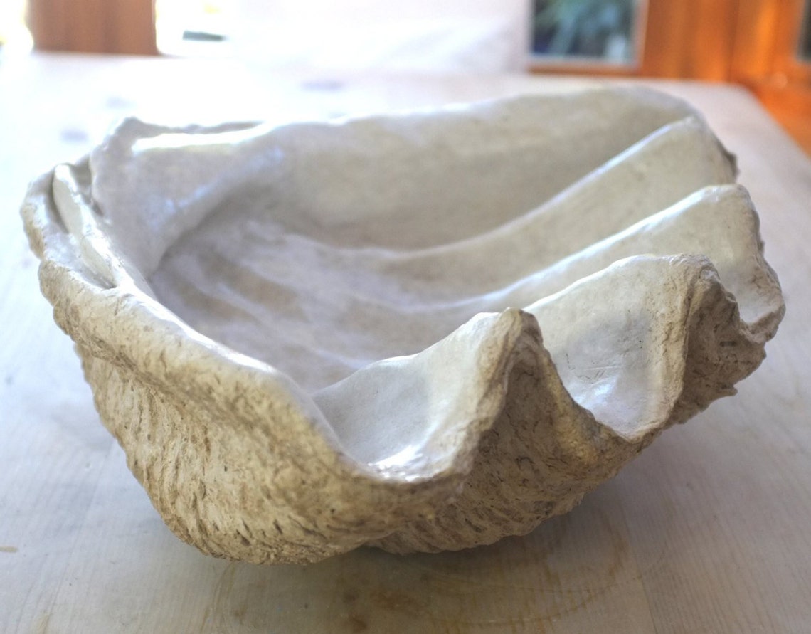 Caramel Giant Clam Shell Nautical Marine Sculpture Art | Etsy