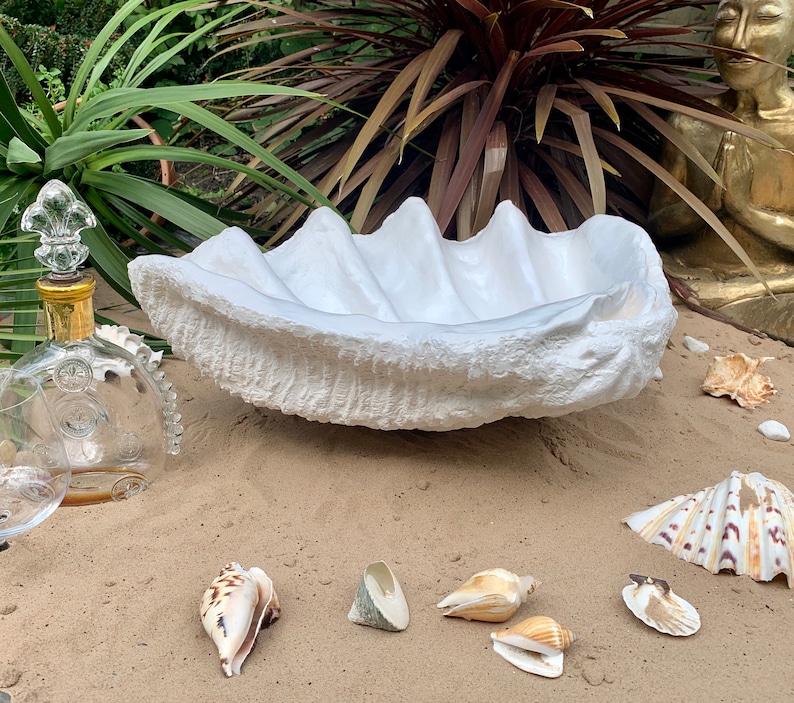 Caramel Giant Clam Shell Stylish Vessel Bowl Handmade Sculpture Art ...