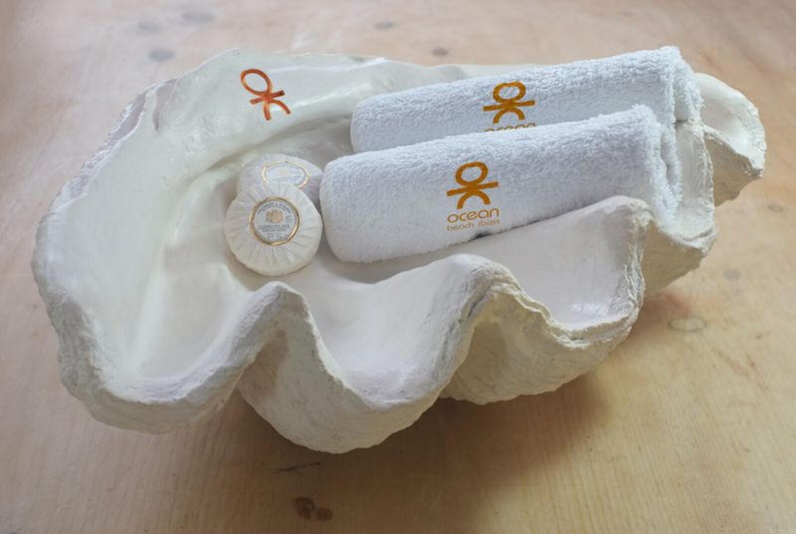 Giant Clam Shell Sculpture Art Stone Ornament Bowl Vessel - Etsy