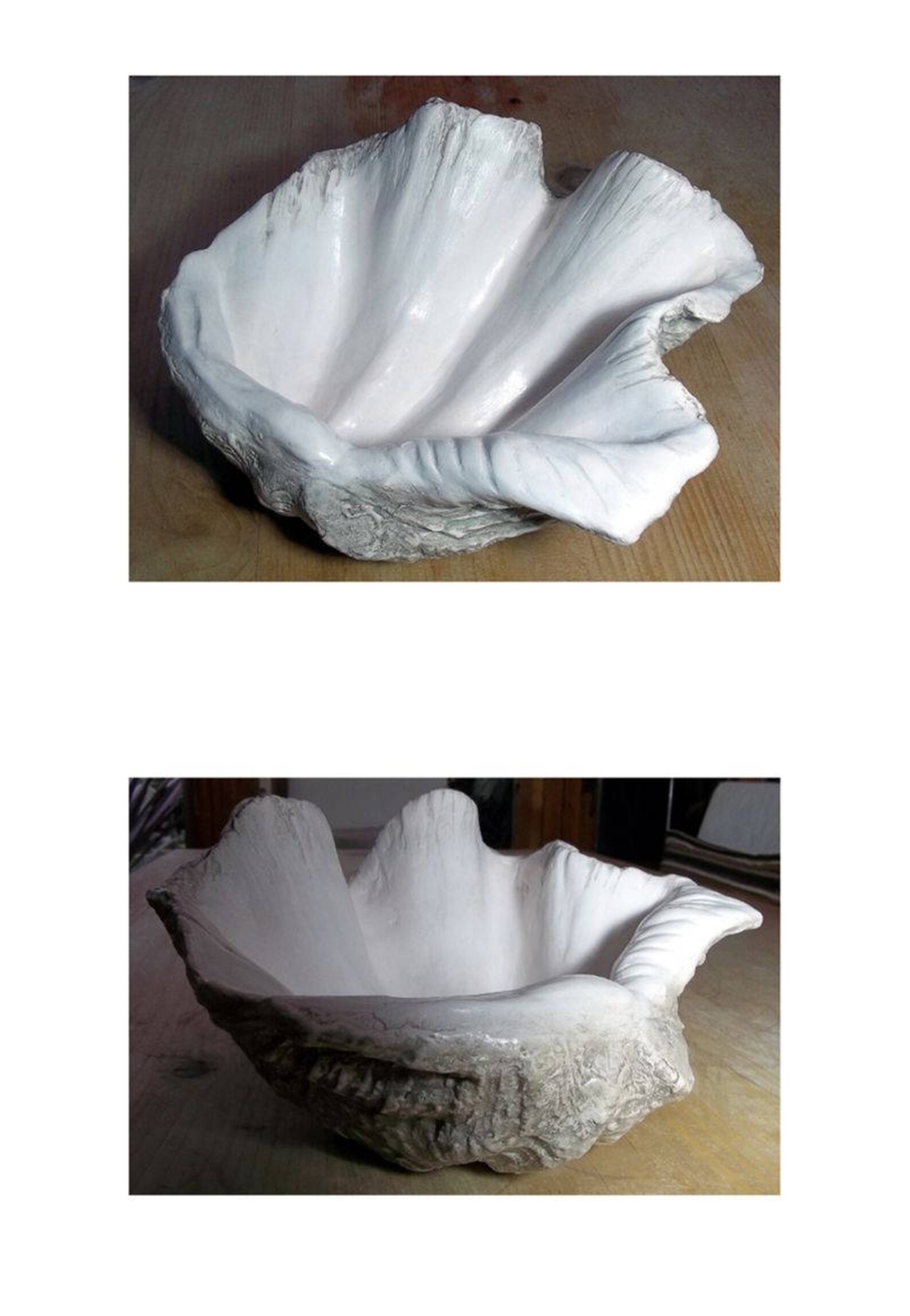 Two Small Giant Clam Shell Sculpture Art Ornament Bowl vessel | Etsy