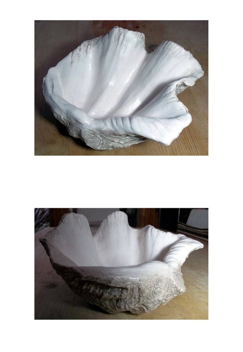 Two Small Giant Clam Shell Sculpture Art Ornament Bowl vessel | Etsy