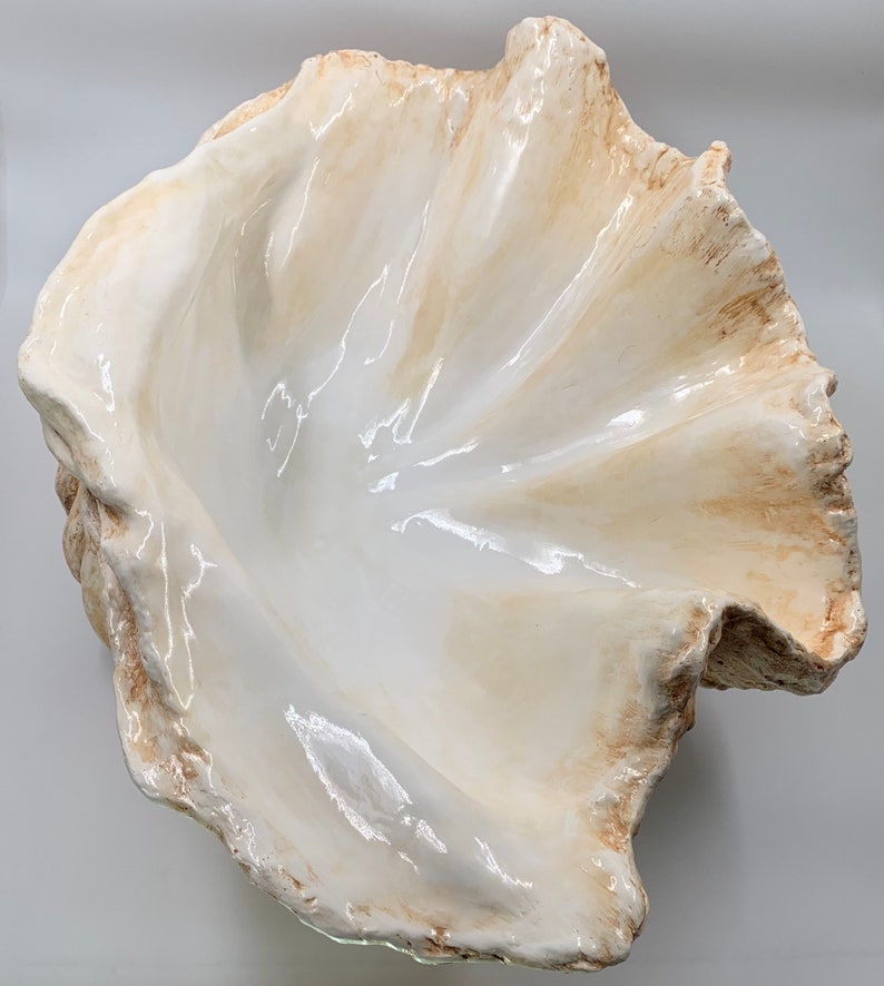 XL Contemporary Tobacco Giant Clam Shell Sculpture a Piece of Art in ...