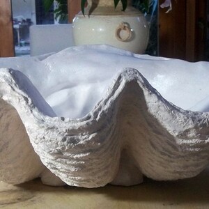 Giant Clam Shell Sculpture Art Stone Ornament Bowl Vessel Basin for ...