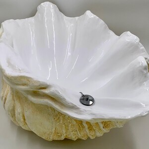 Giant Clam Shell Bathroom Sink Wash Basin Vessel Bowl in Caramel ...