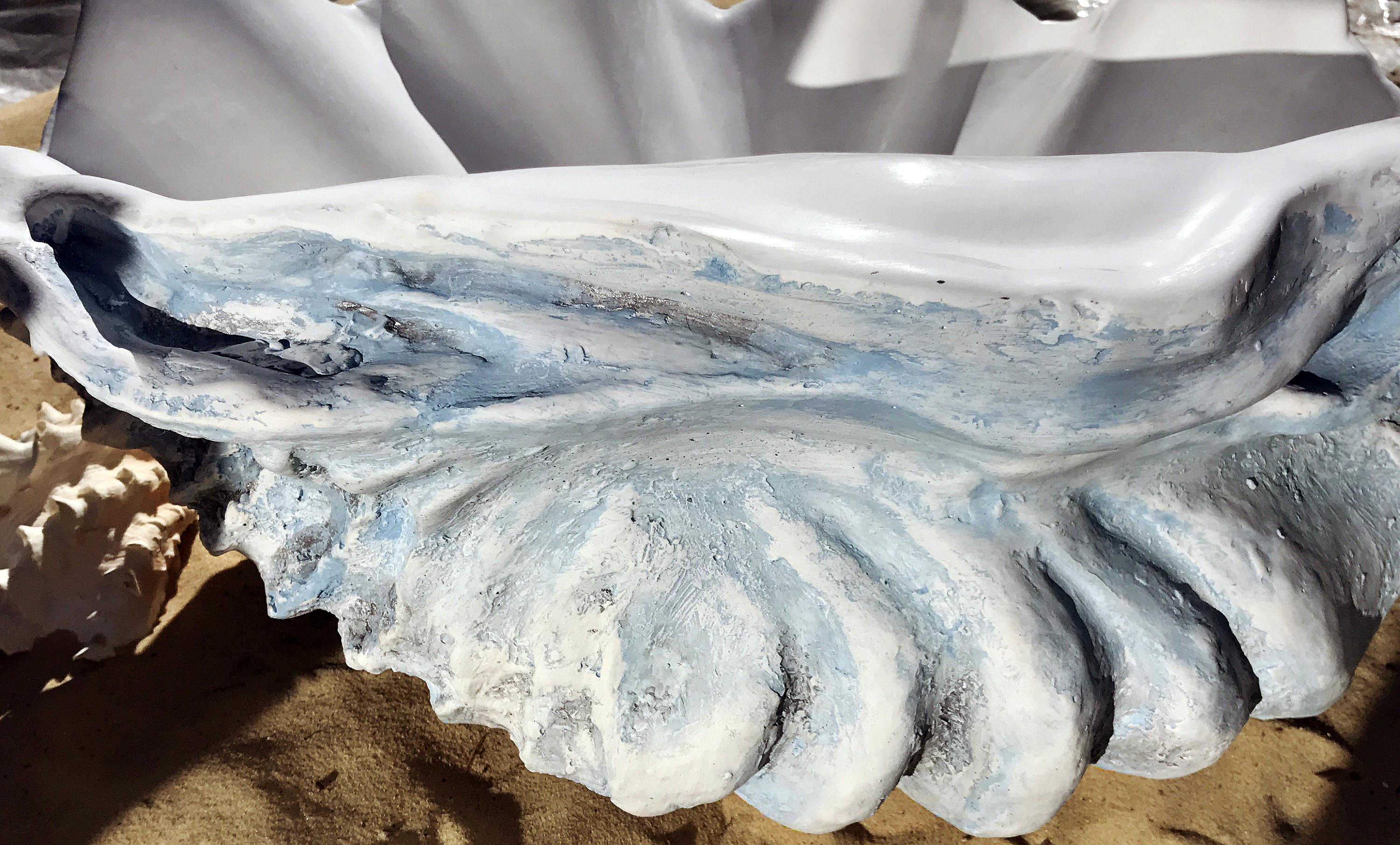 XL Aquamarine Blue Shell Giant Clam Shell Sculpture a Piece of - Etsy UK