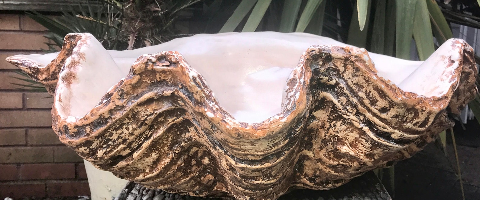 XL Burnt Umber Giant Clam Shell Sculpture Art Bowl Basin | Etsy