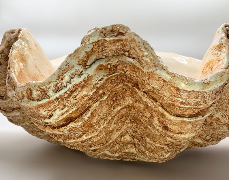 Giant Clam Shell Sculpture Bowl | Etsy