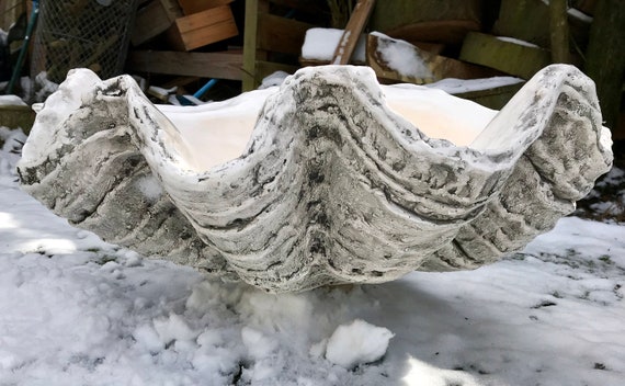 XL Soft Grey Giant Clam Shell Sculpture Art Ornament Bowl - Etsy