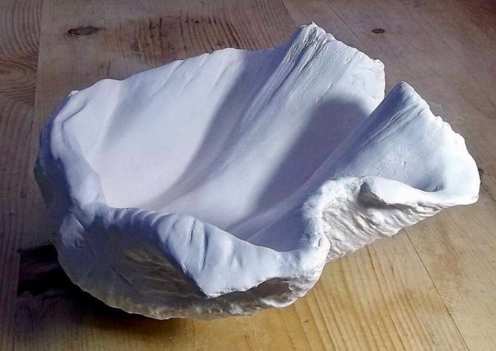 Two Small Giant Clam Shell Sculpture Art Ornament Bowl Vessel Handmade ...
