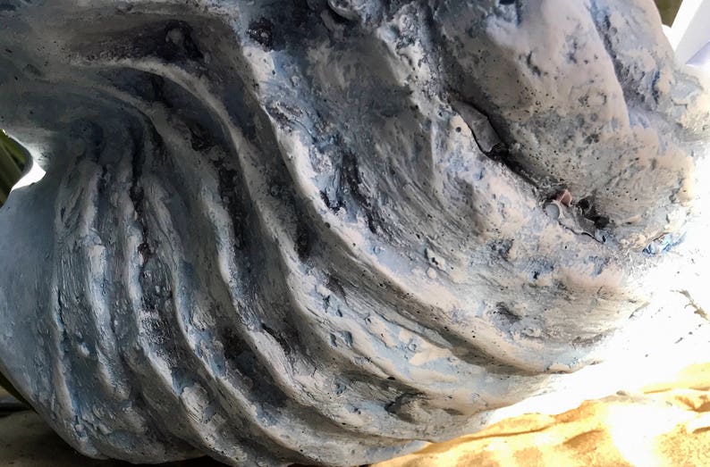 Giant Clam Shell Bathroom Sink Wash Basin Bowl Vessel Counter - Etsy