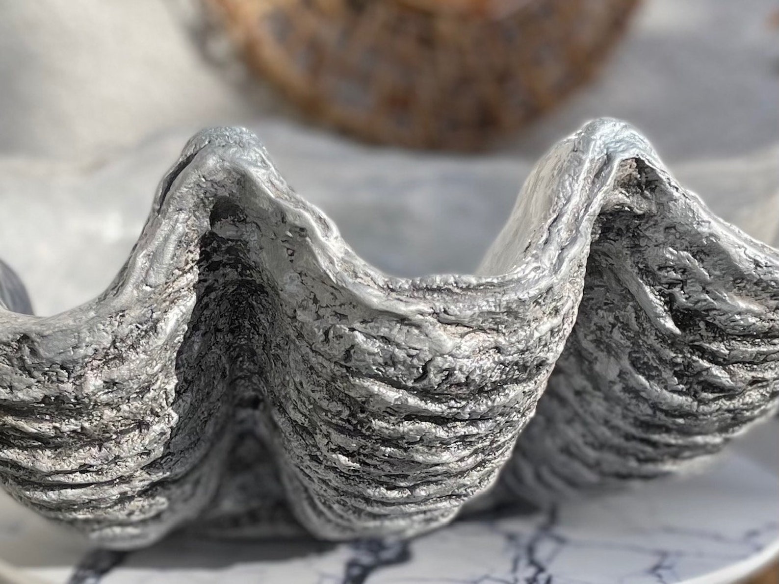 Charcoal Grey Giant Clam Shell Sculpture Art Ornament Basin | Etsy