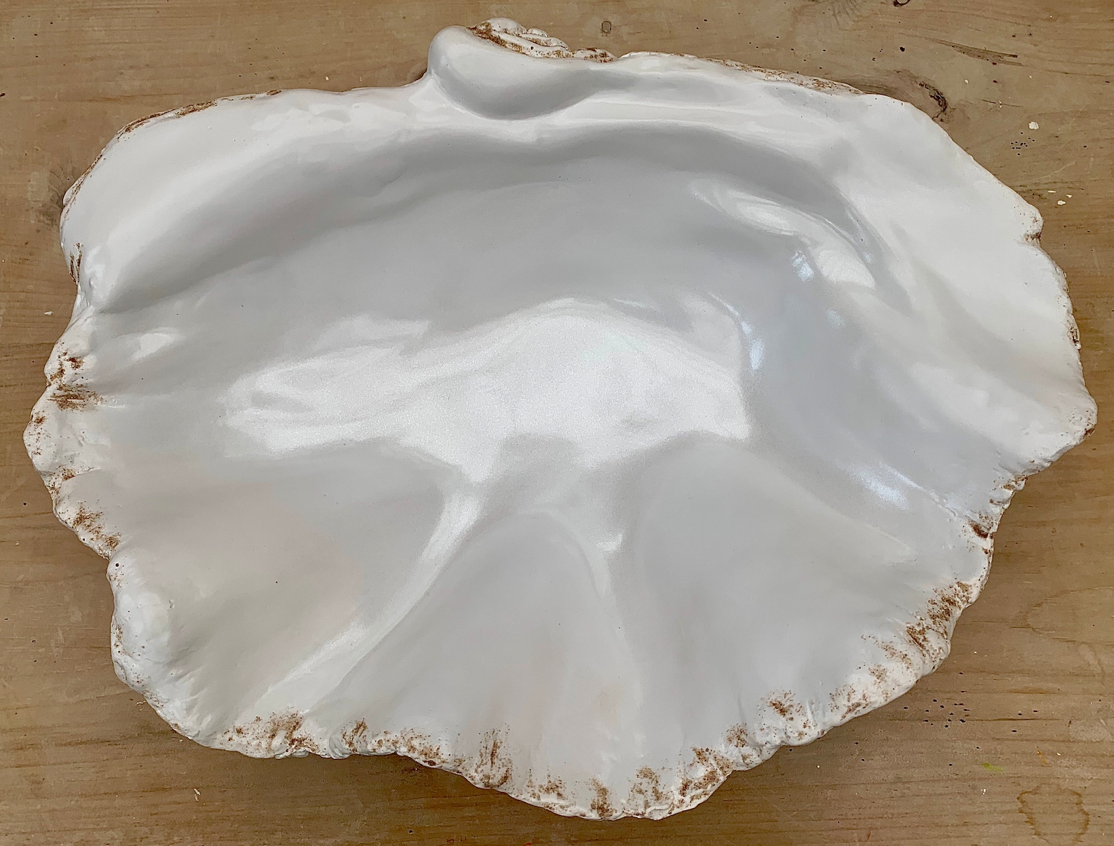 Medium Real Sand Giant Clam Shell Sculptured Art Contemporary ...