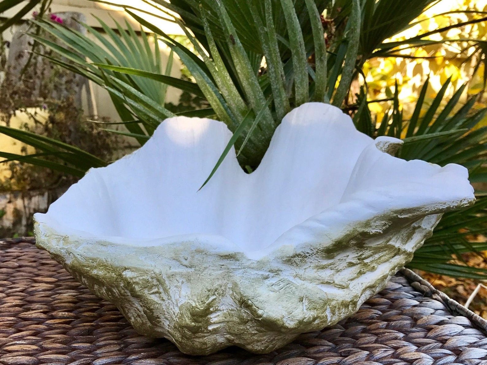 Small Gold Fleck Giant Clam Shell Sculpture Ornament Bowl Handmade for ...