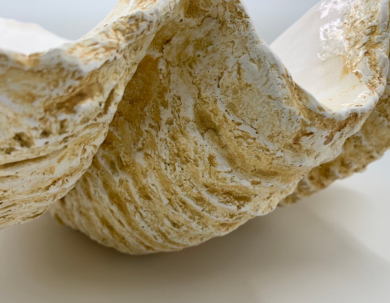 Handmade Caramel Giant Clam Shell Bowl Fruit Bowl Sculpture - Etsy