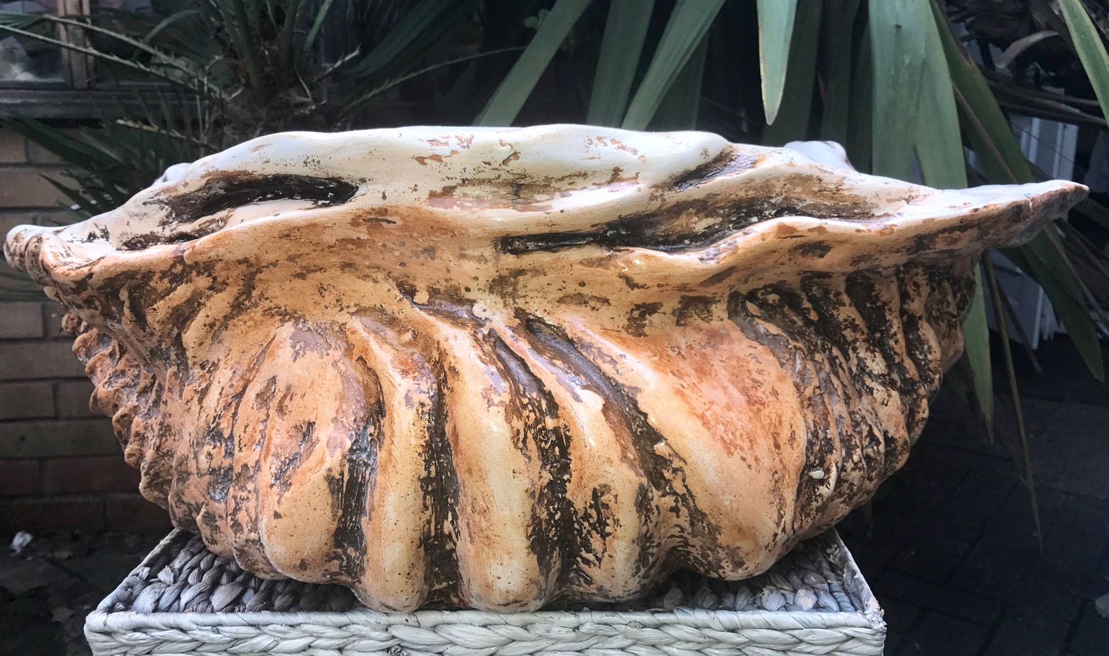 XL Burnt Umber Giant Clam Shell Sculpture Art Bowl Basin | Etsy