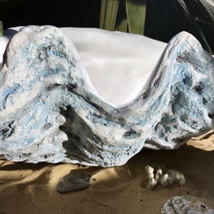 Medium Giant Clam Shell Bathroom Sink Wash Basin Bowl Vessel Counter ...