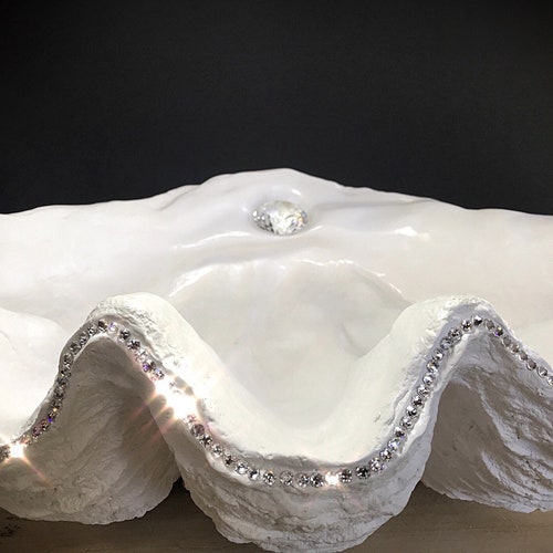 Small White Giant Clam Shell Sculpture Art Ornament Bowl Basin - Etsy