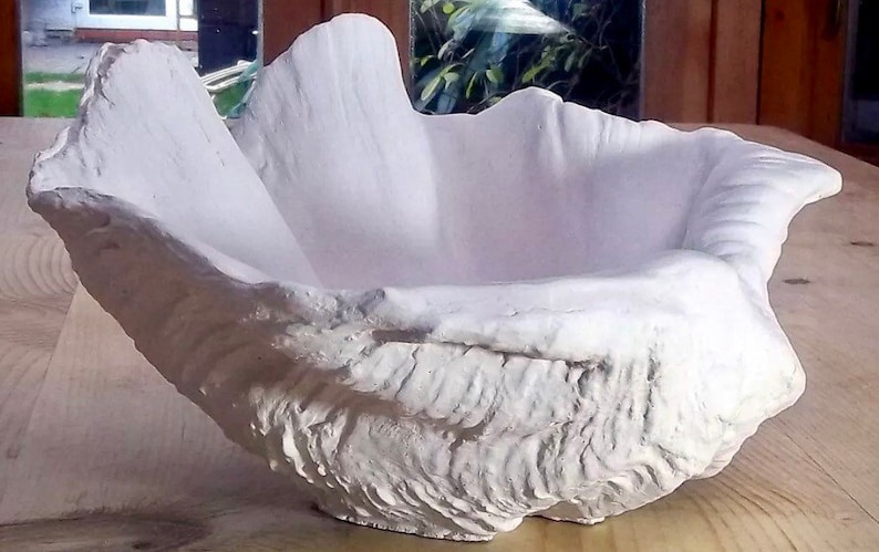 Small White Giant Clam Shell Sculpture Art Ornament Bowl Basin Vessel ...