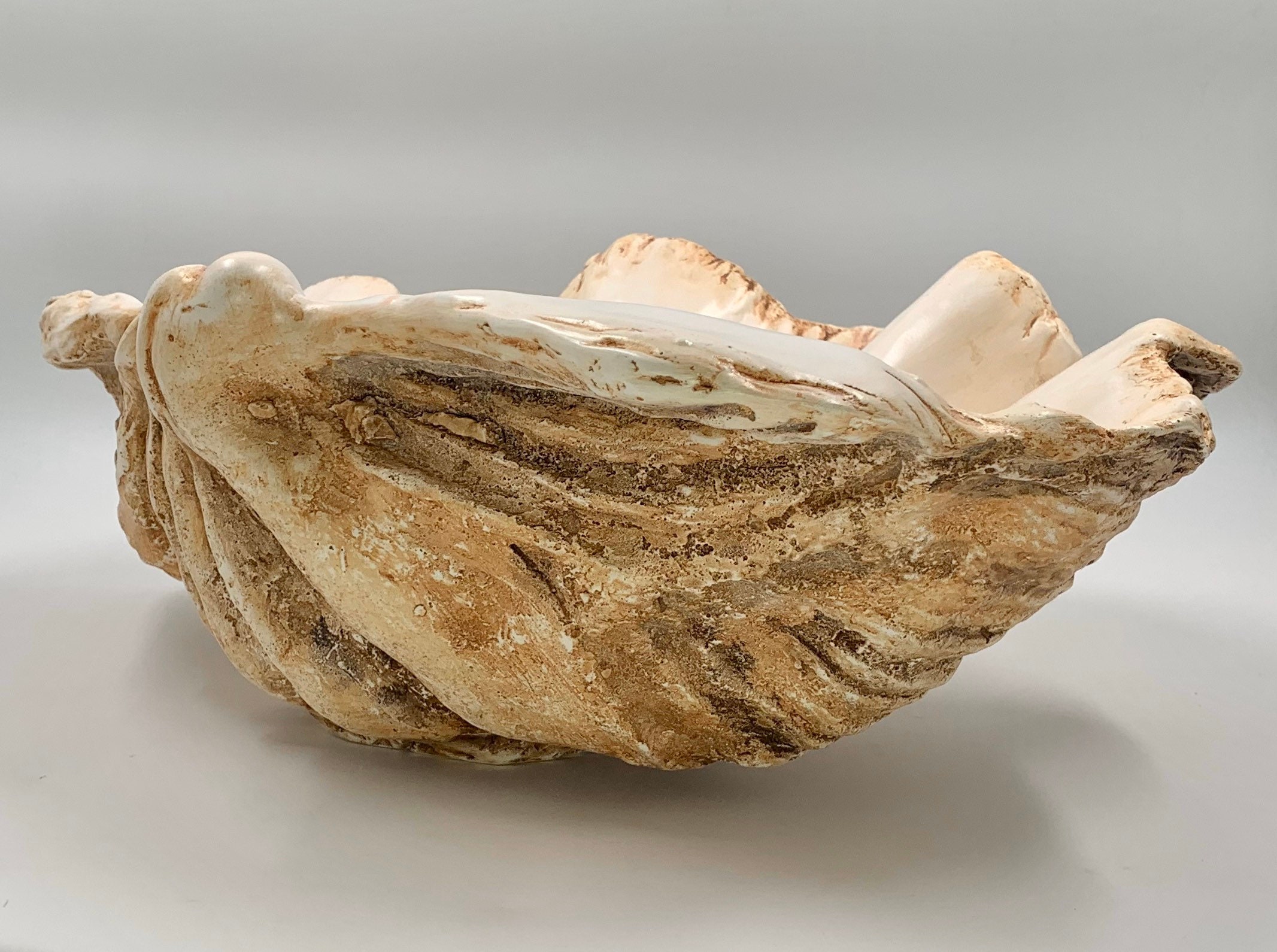 Medium Burnt Umber Giant Clam Shell Sculpture Art Ornament | Etsy