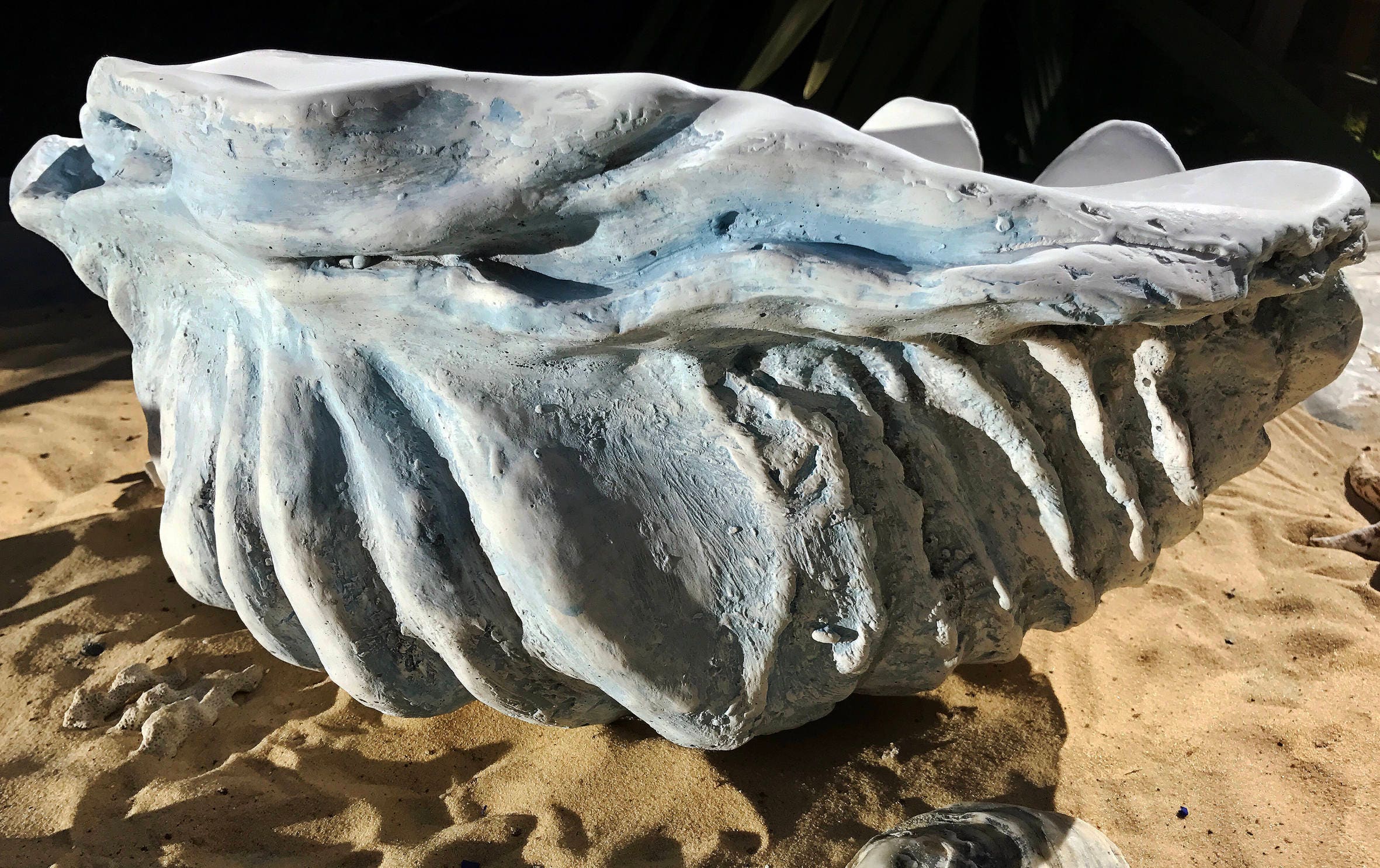 Giant Clam Shell Bathroom Sink Wash Basin Bowl Vessel Counter | Etsy