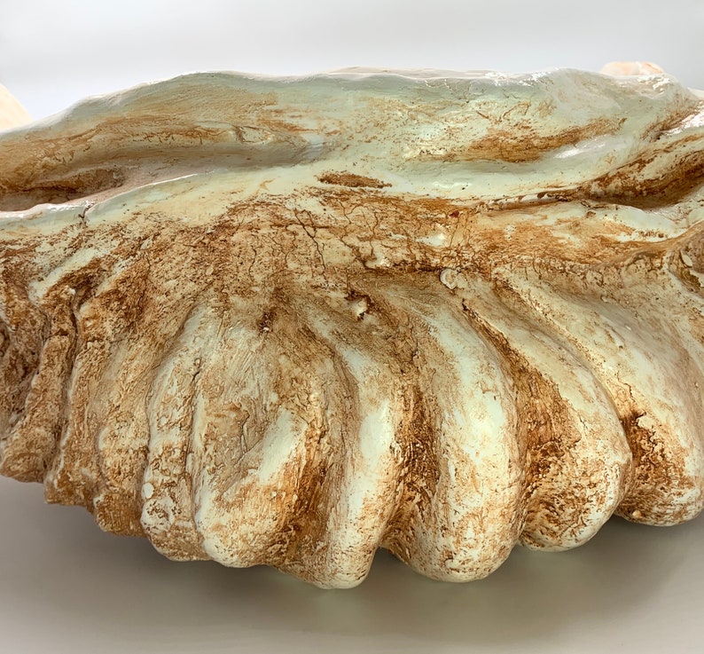 Giant Clam Shell Sculpture Bowl | Etsy