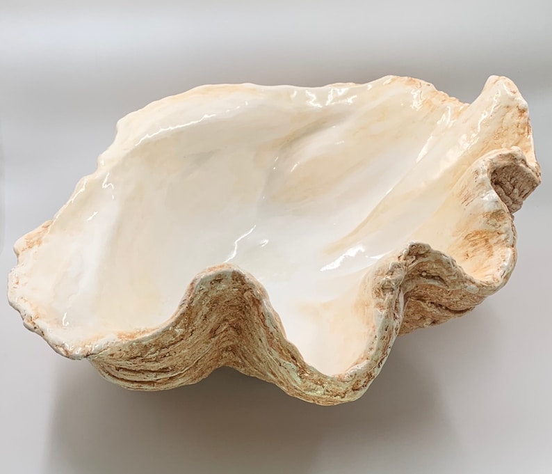 XL Contemporary Tobacco Giant Clam Shell Sculpture a Piece of Art in ...