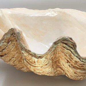 Giant Clam Shell Sculpture Bowl - Etsy
