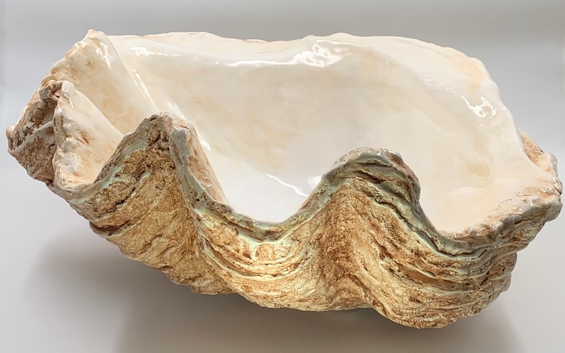 XL Contemporary Tobacco Giant Clam Shell Sculpture a Piece of Art in ...