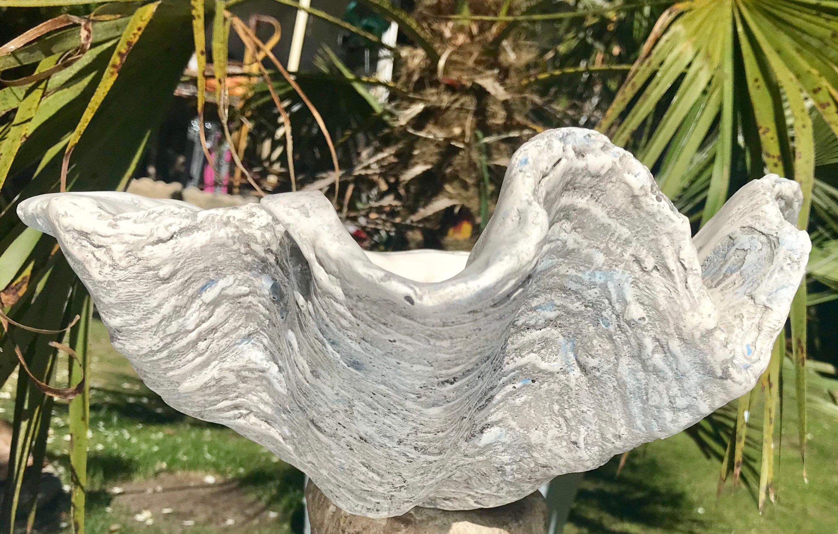 Small Driftwood Grey Giant Clam Shell Handmade Sculpture - Etsy UK