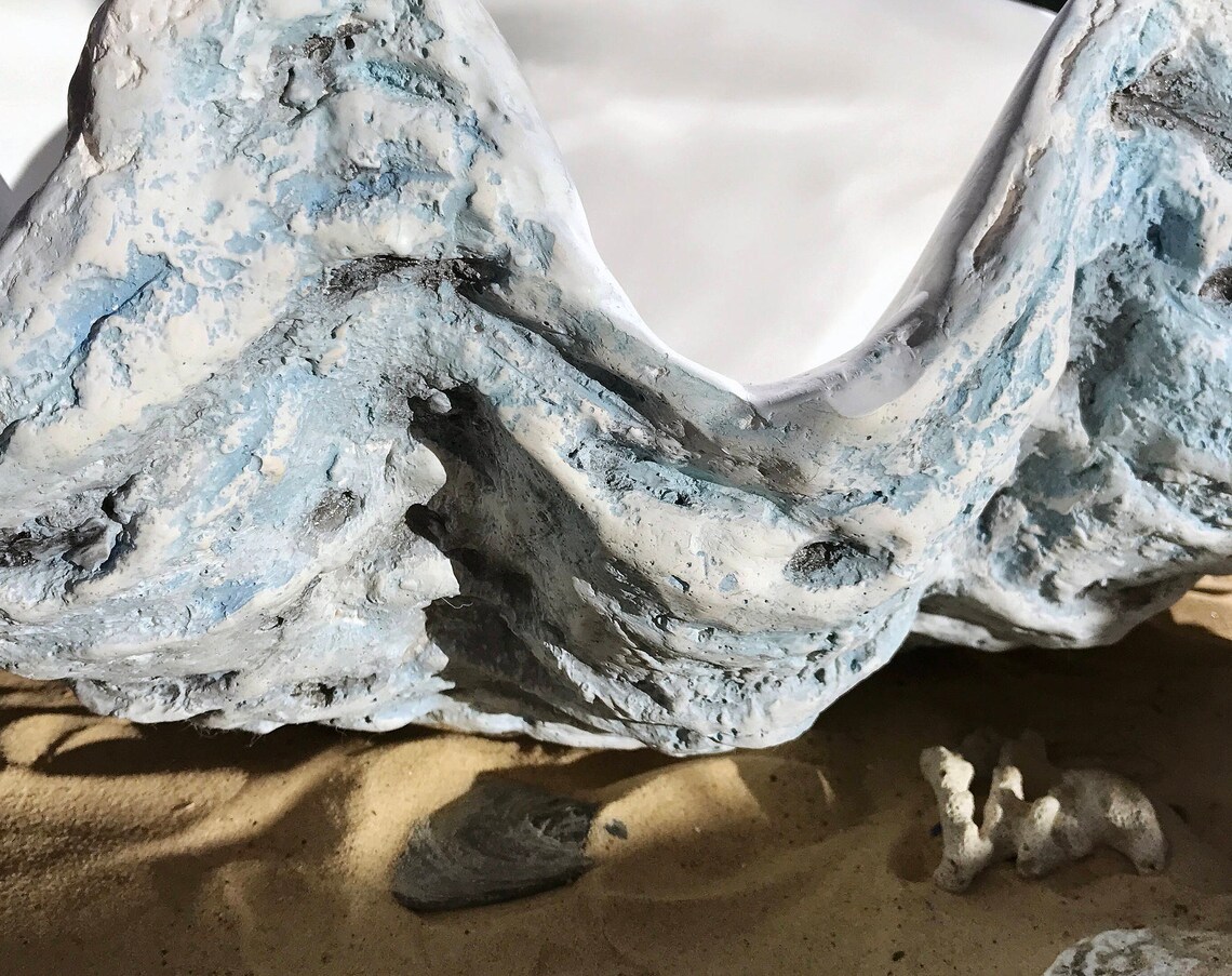XL Aquamarine Blue Shell Giant Clam Shell Sculpture a Piece of - Etsy UK