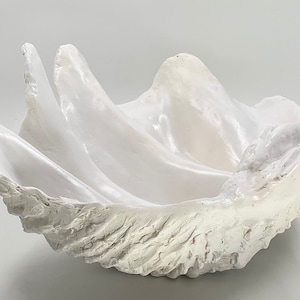Serenity Large Antique White Giant Clam Shell Sculptured Art Sculpture ...