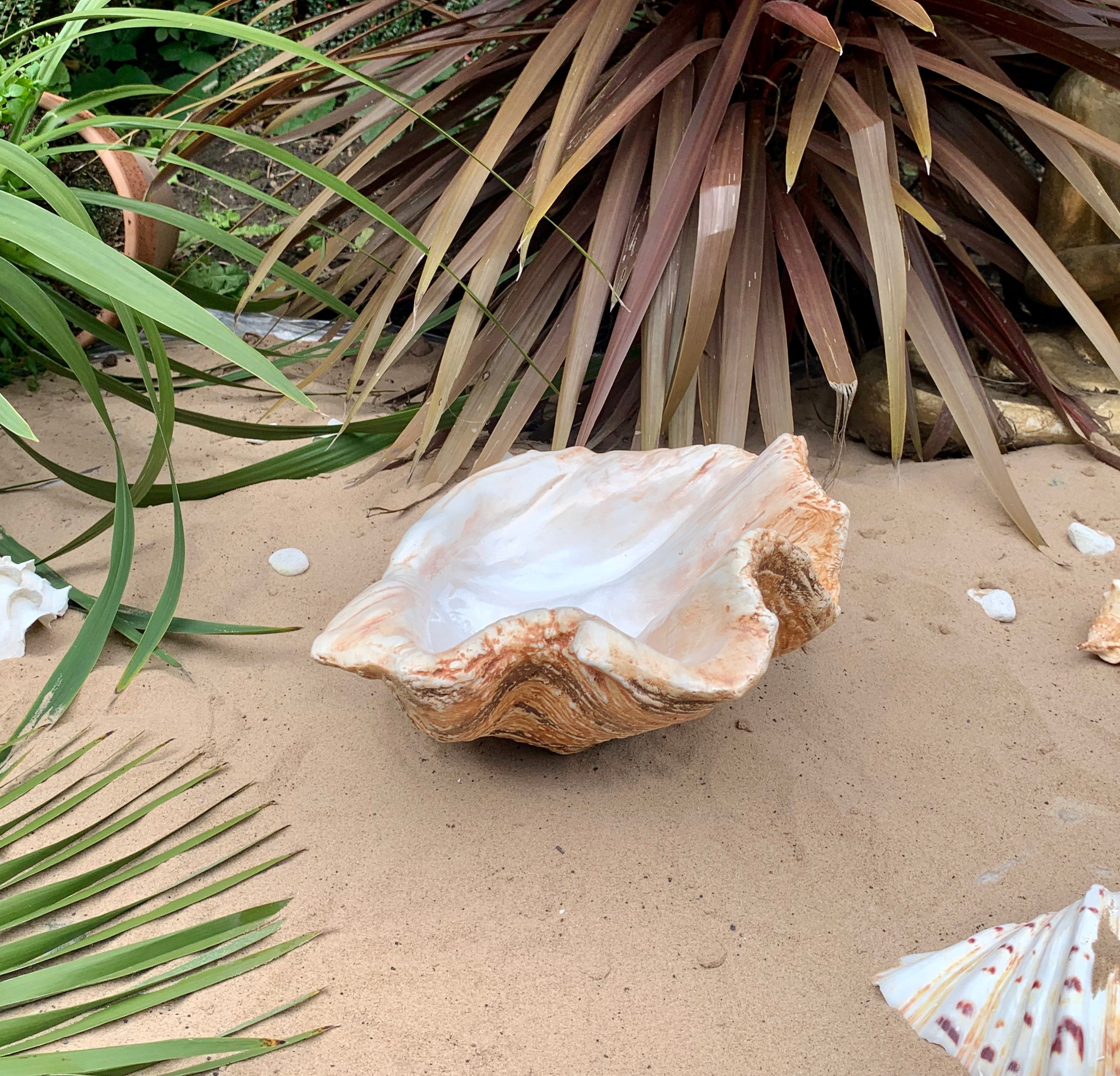 Giant Clam Shell Decoration