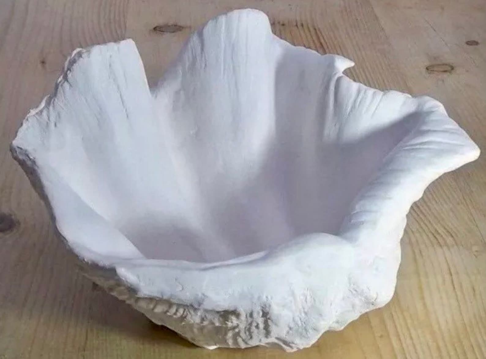 Two Small Giant Clam Shell Sculpture Art Ornament Bowl Vessel Handmade ...