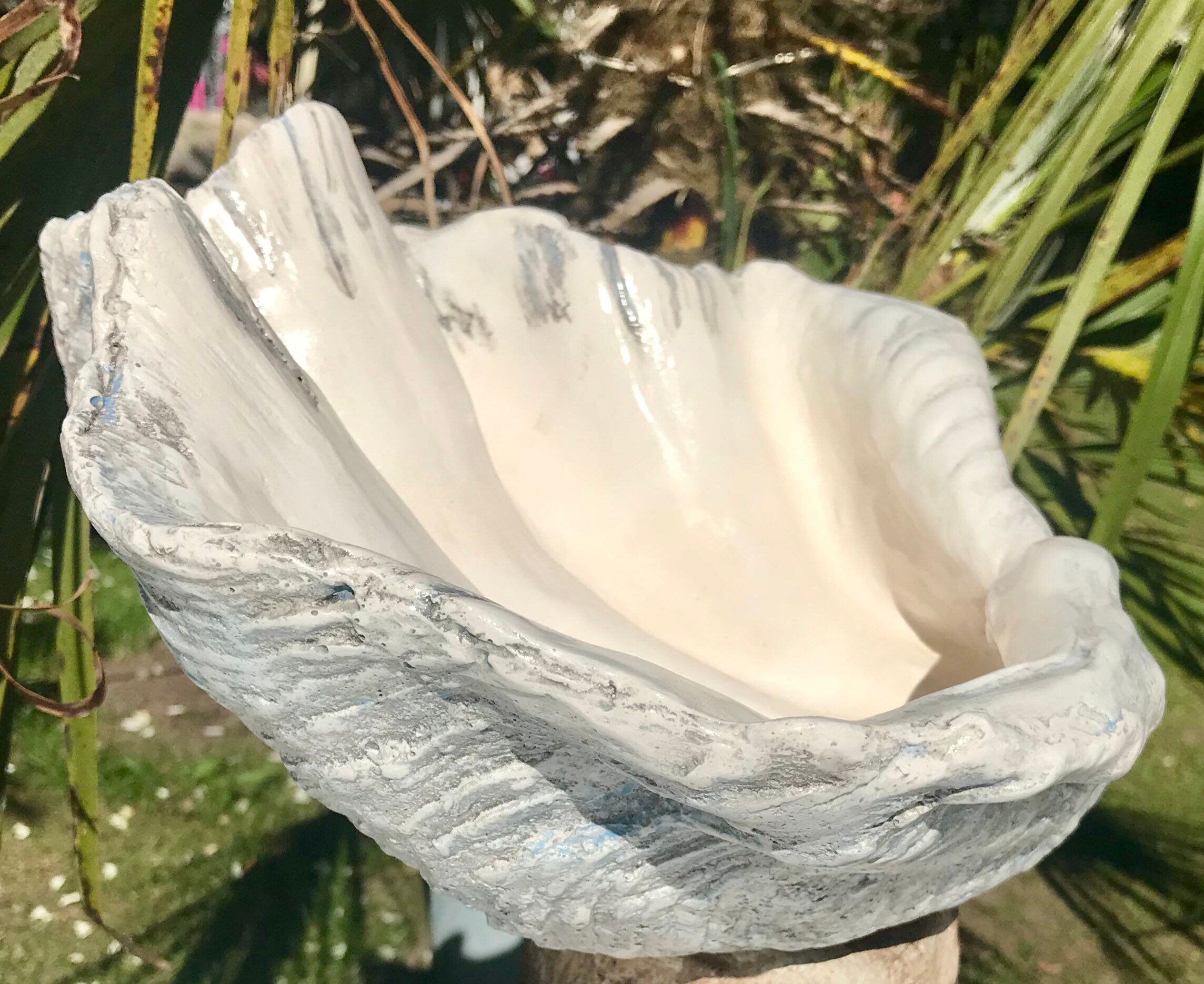 Small Driftwood Grey Giant Clam Shell Handmade Sculpture - Etsy UK