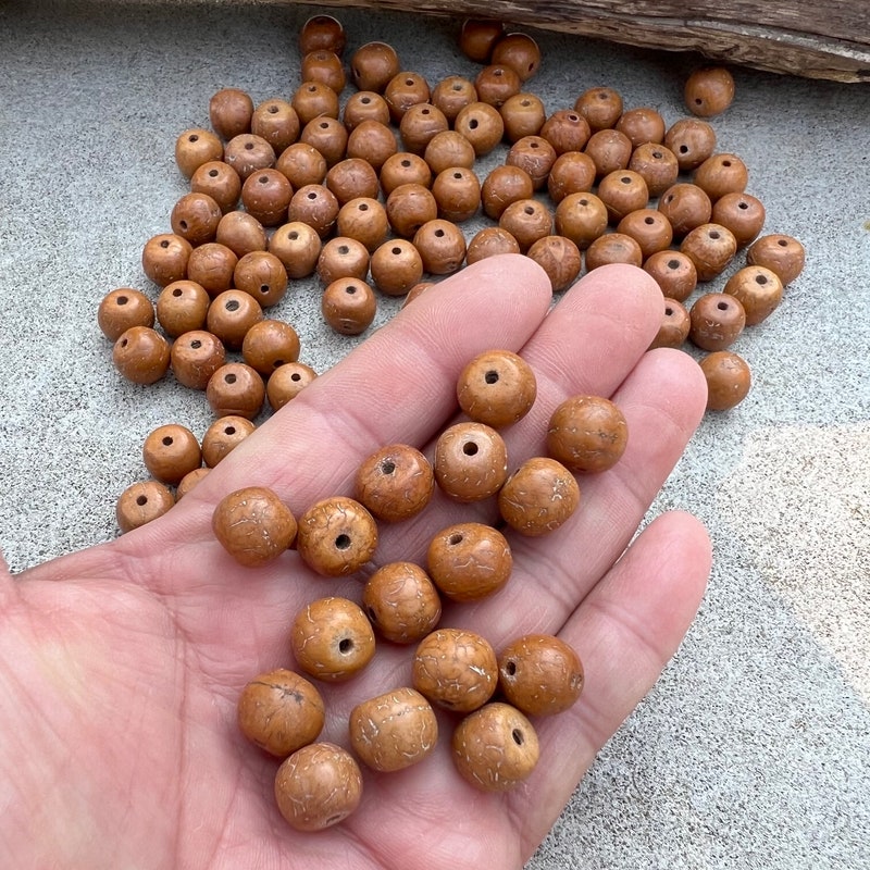 Bodhi Seed Malas Buddhist - Etsy