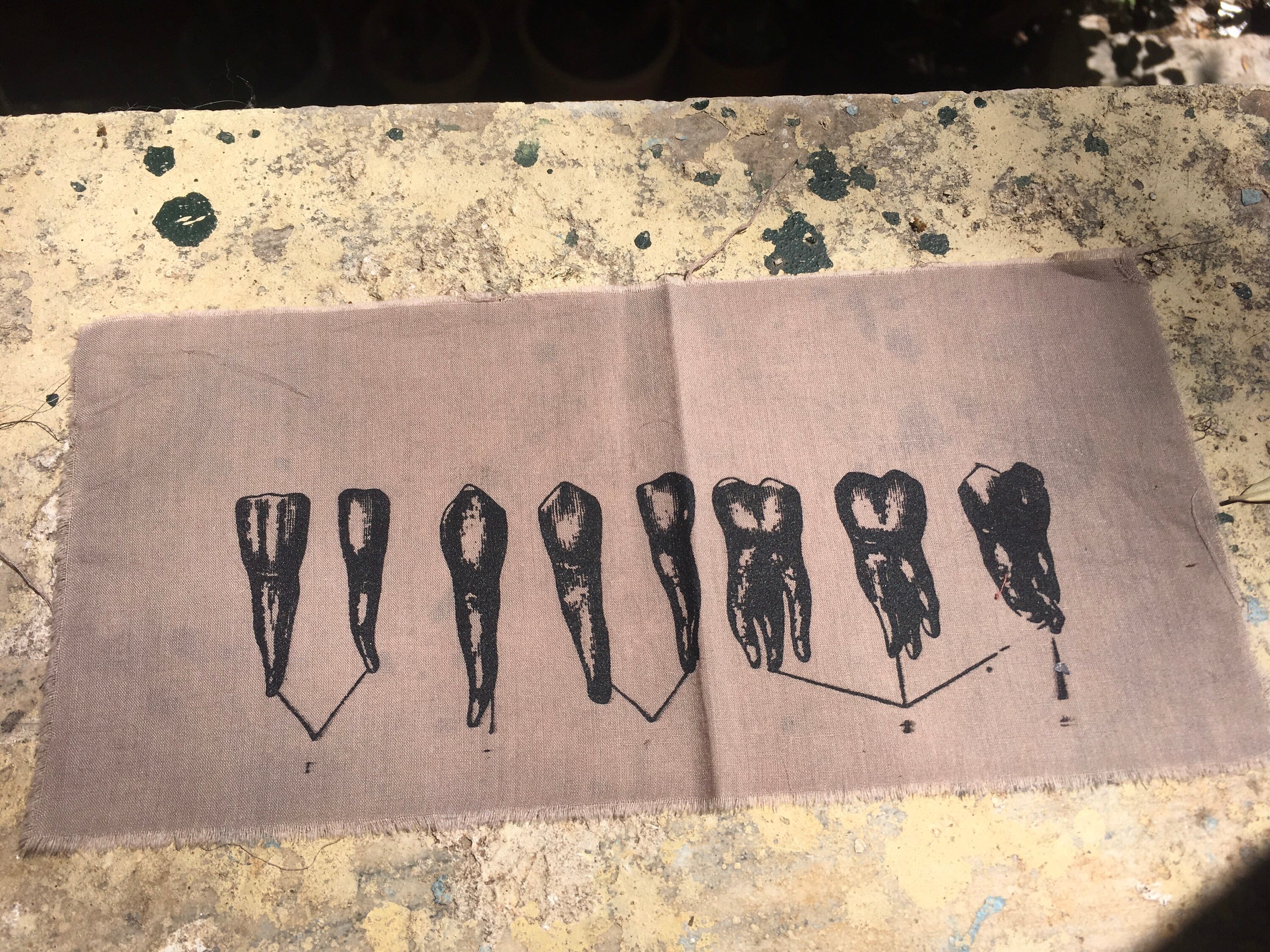 Anatomic Teeth Patch // Tooth - Etsy